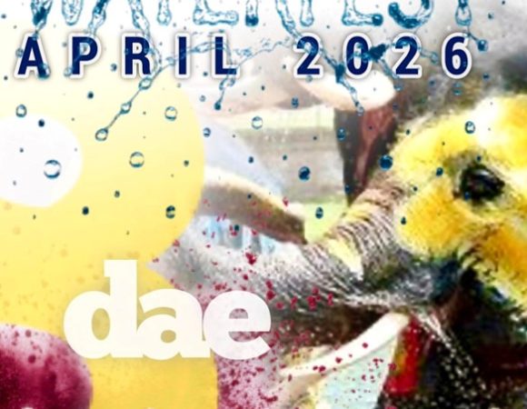 International Toerbroers